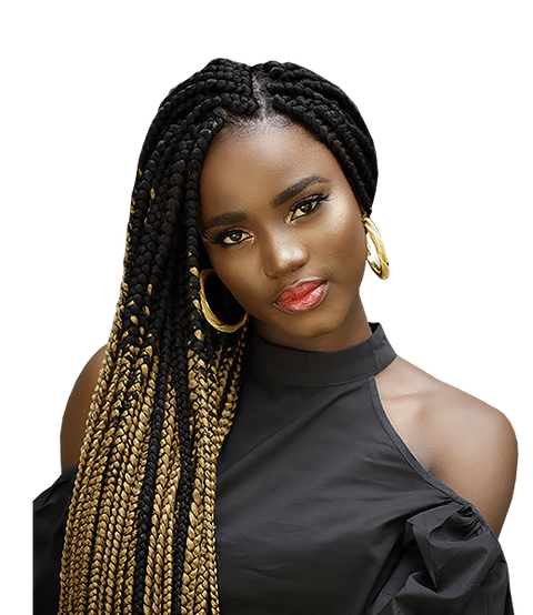 Braids Collection | Order Online Today - Exclusive Deals | The Diva ...